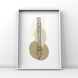 Spine Poster, Orthopaedic Wall Art, Chiropractor Gift, Anatomy Minimal ...