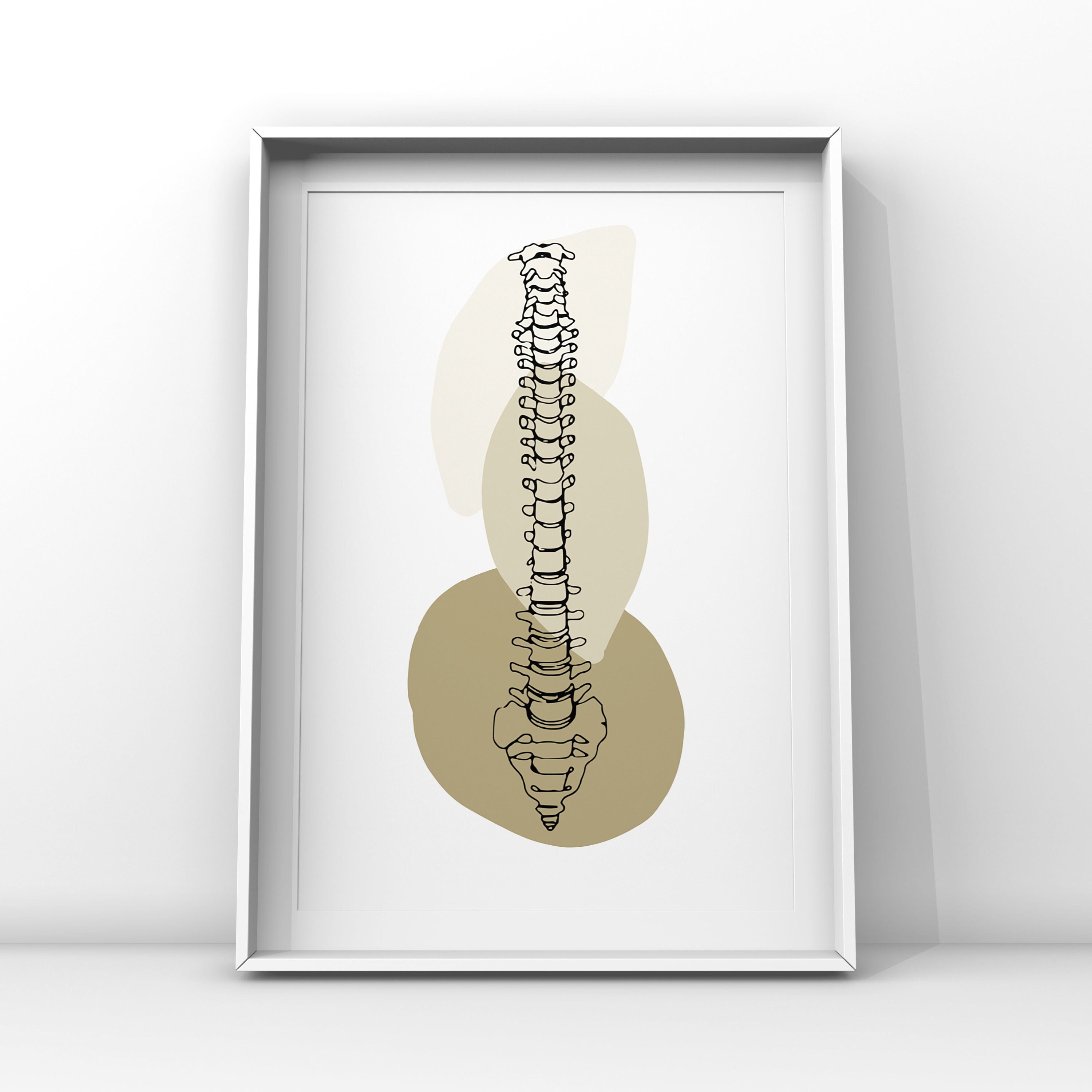 Spine Poster Orthopaedic Wall Art Chiropractor Gift Anatomy - Etsy