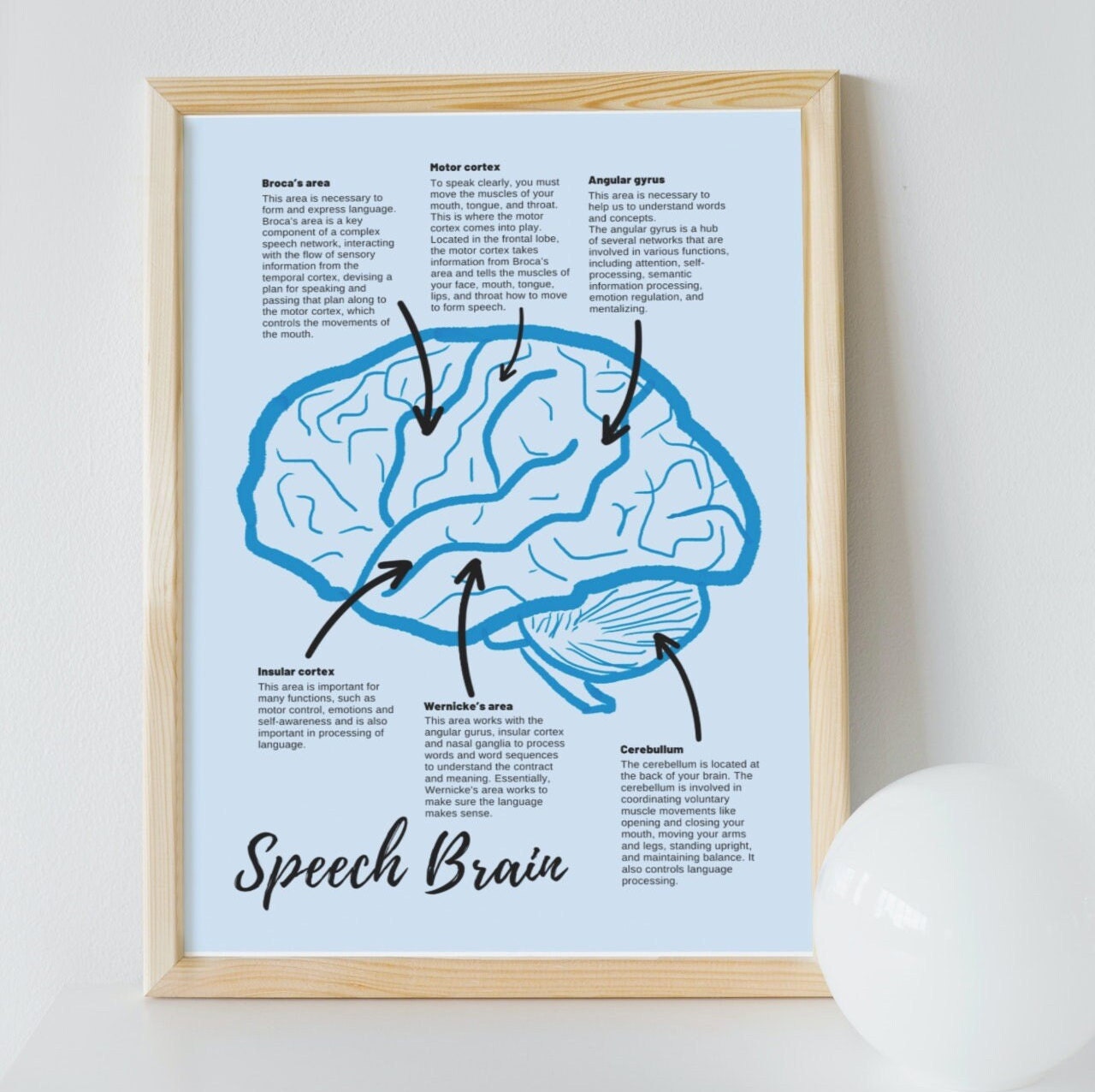 Brain Art Original, Brain Anatomy for Language, Brain Wall Art Speech ...