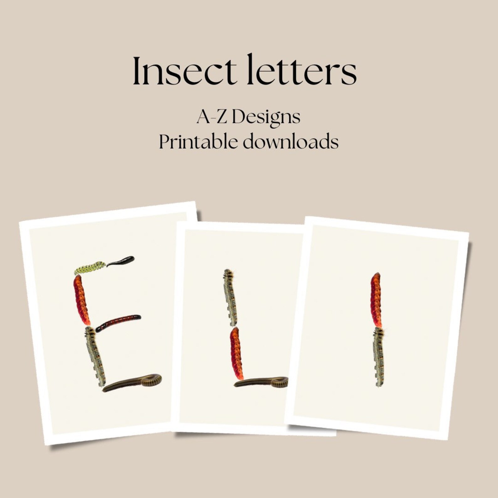 Phonetic Nature Alphabet Cards, Insect Bug Alphabet Poster, Minibeast ...