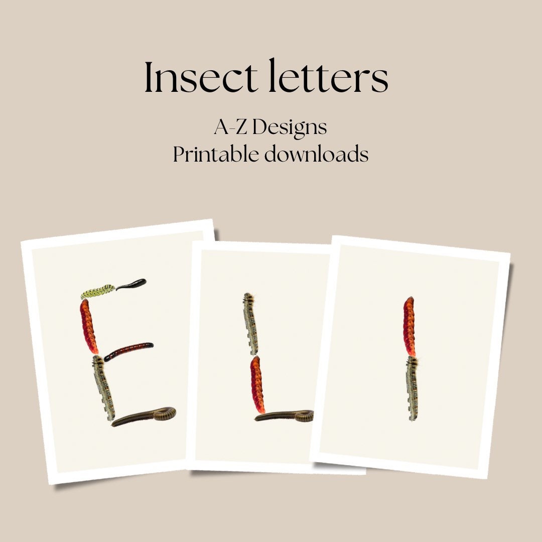 Phonetic Nature Alphabet Cards, Insect Bug Alphabet Poster, Minibeast ...