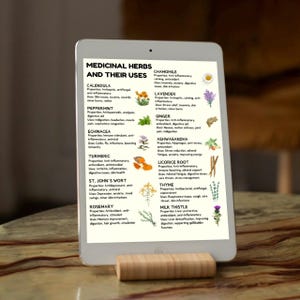 Medicinal Herb Guide: Reference Chart Print (digital Download) - Etsy