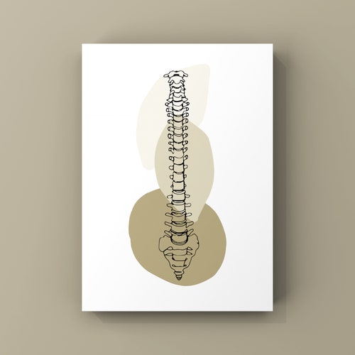 Spine Anatomy Poster Human Spine Print Chiropractor Gift - Etsy