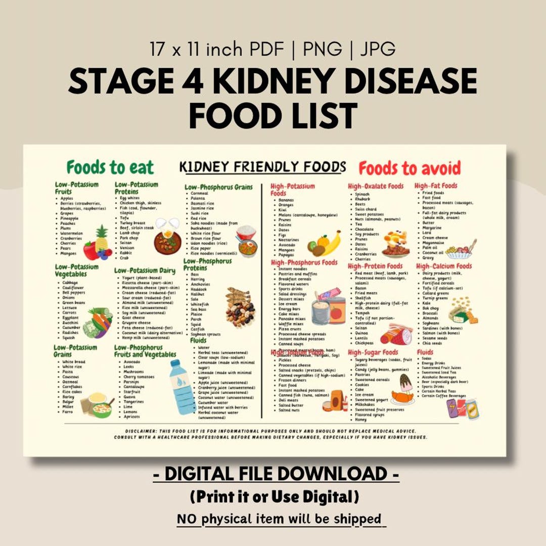 Kidney Friendly Food List: Low Potassium Diet Guide (printable PDF) - Etsy