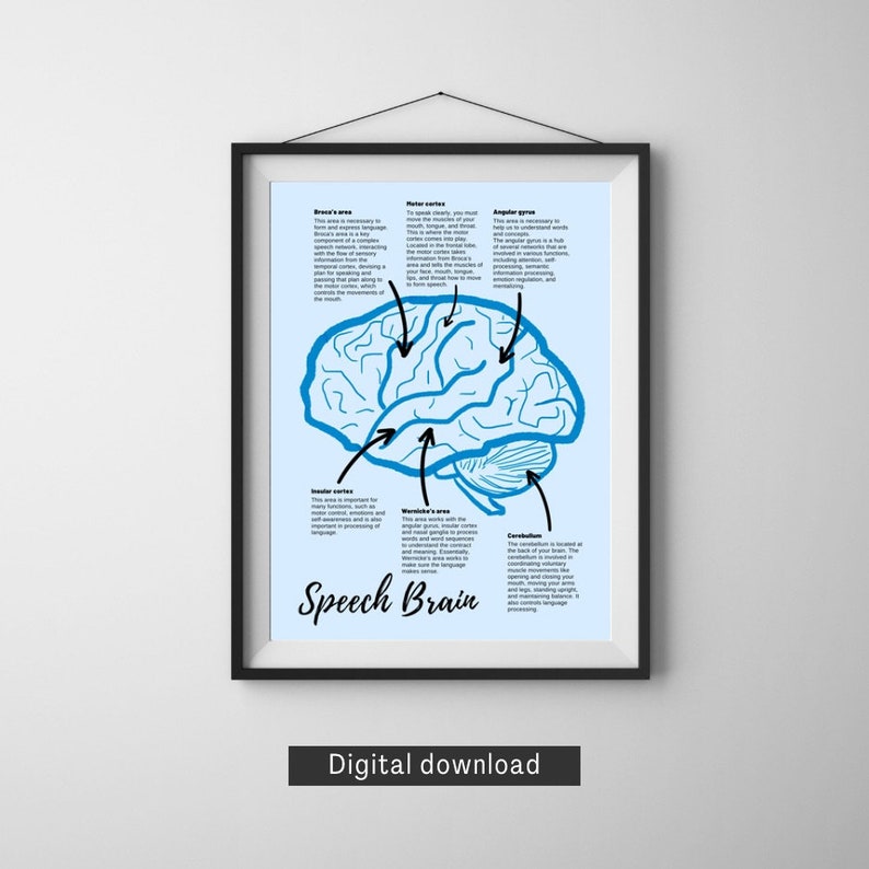 Brain Art Original, Brain Anatomy for Language, Brain Wall Art Speech ...