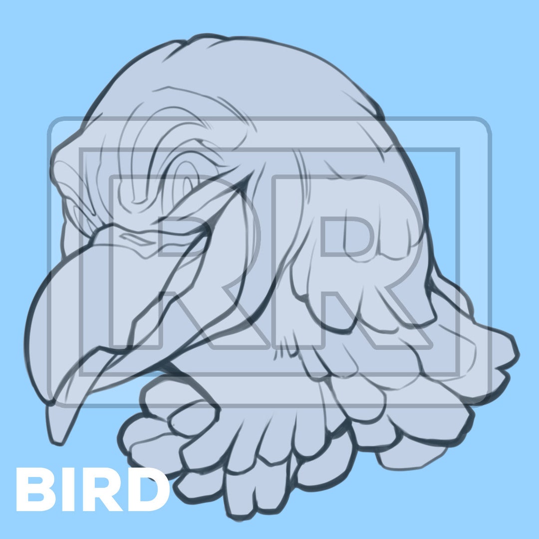 Bird Chibi Base | 11-14 - Etsy