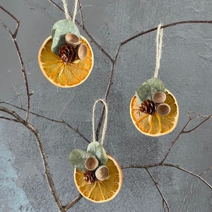 Set of 6 Dried Orange Ornaments | Christmas Tree Ornament | Dried ...