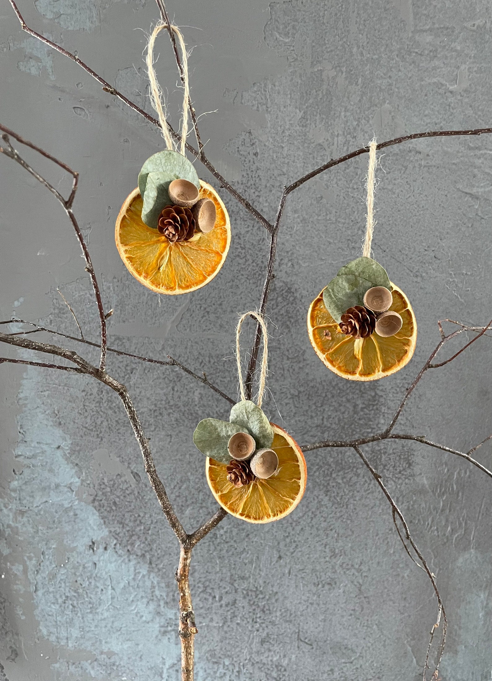 Set of 6 Dried Orange Ornaments | Christmas Tree Ornament | Dried ...