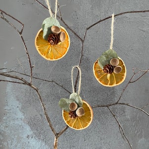 Set of 6 Dried Orange Ornaments | Christmas Tree Ornament | Dried ...