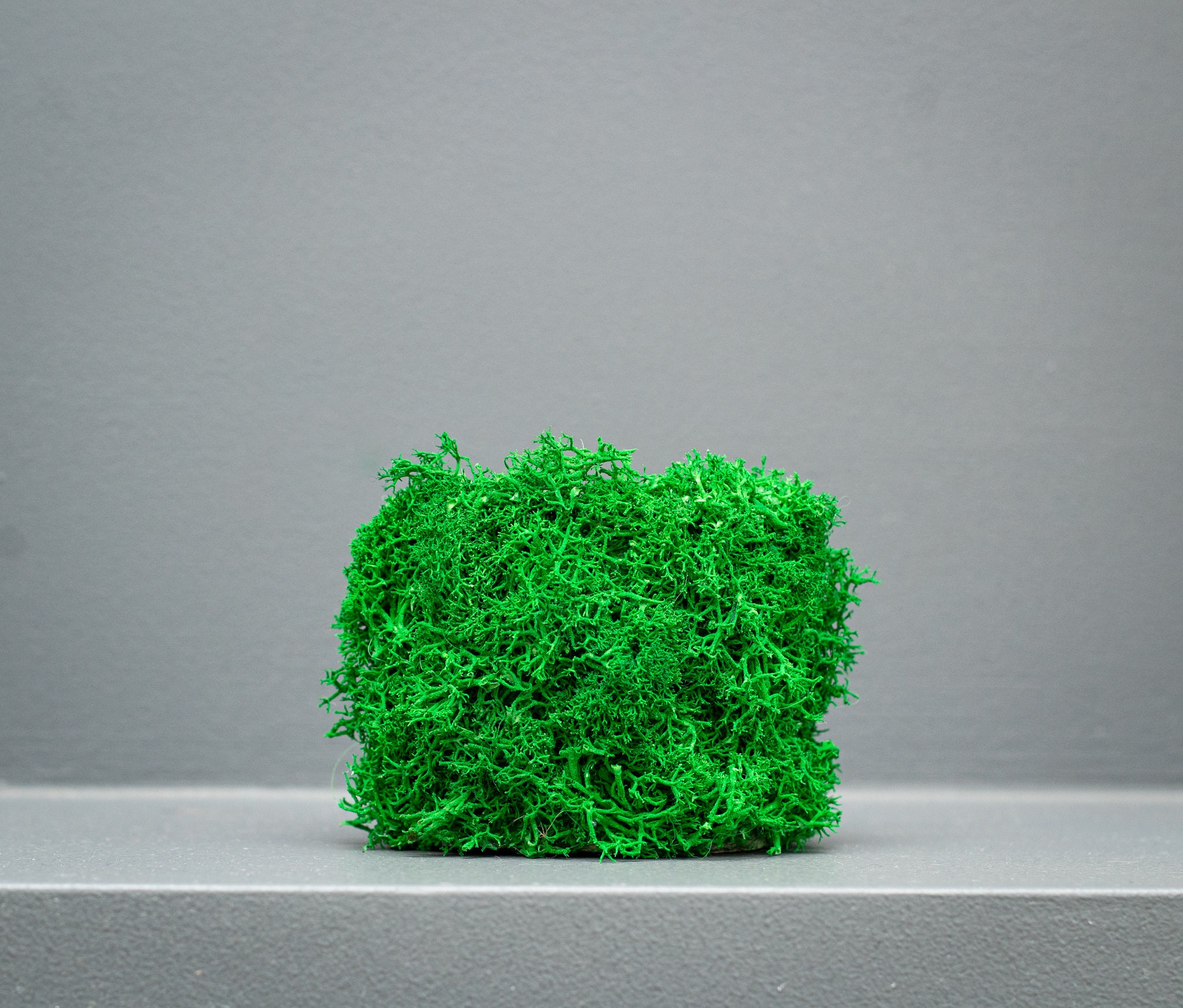 Multicolour moss tea light holder Natural moss planter Easter table ...