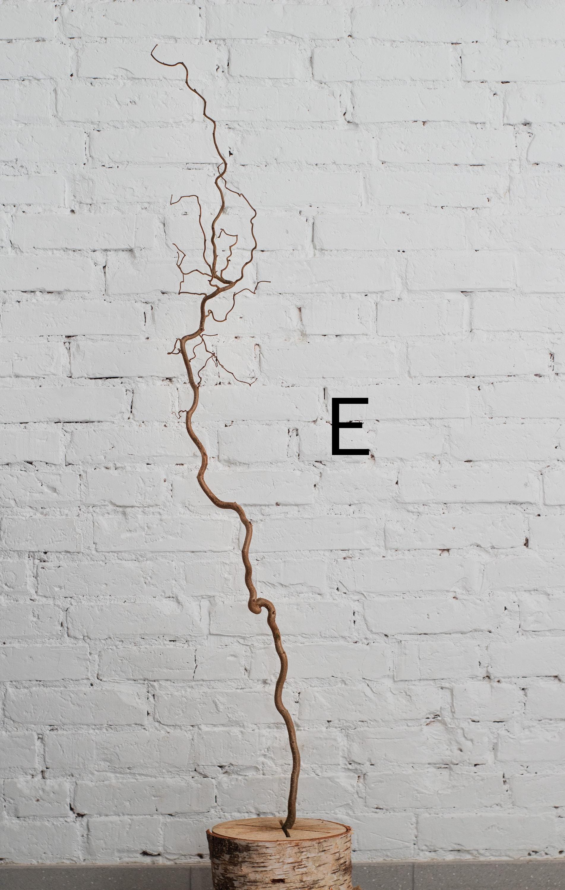 Natural Twisted Hazel Branches | 35" Wood Branches | Naturally Curly ...
