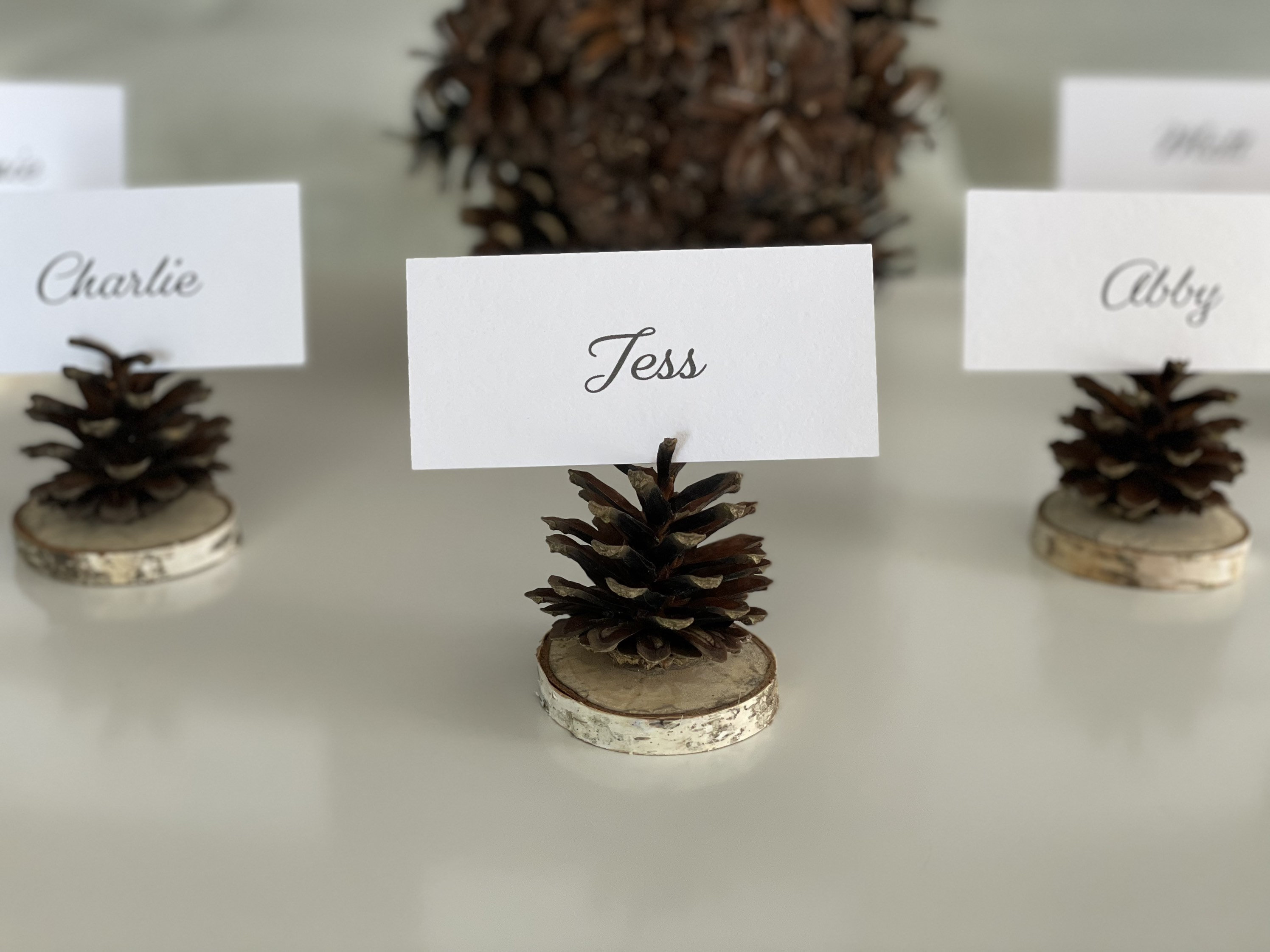 Natural Name Card Holder Rustic Wedding Place Card Rustic - Etsy