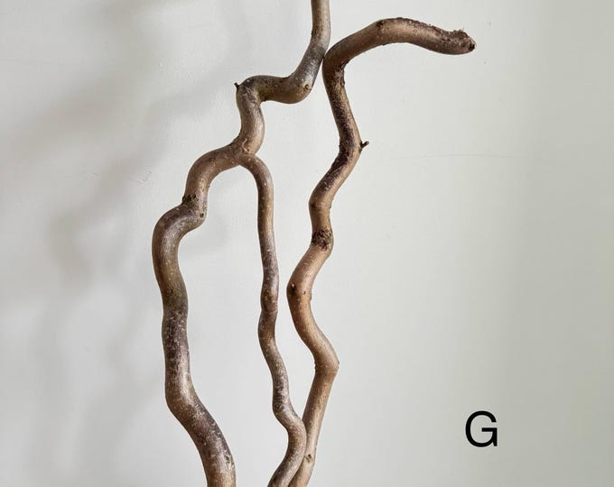 Set of 3 Natural Twisted Hazel Branches | 35" Wood Branches | Naturally ...