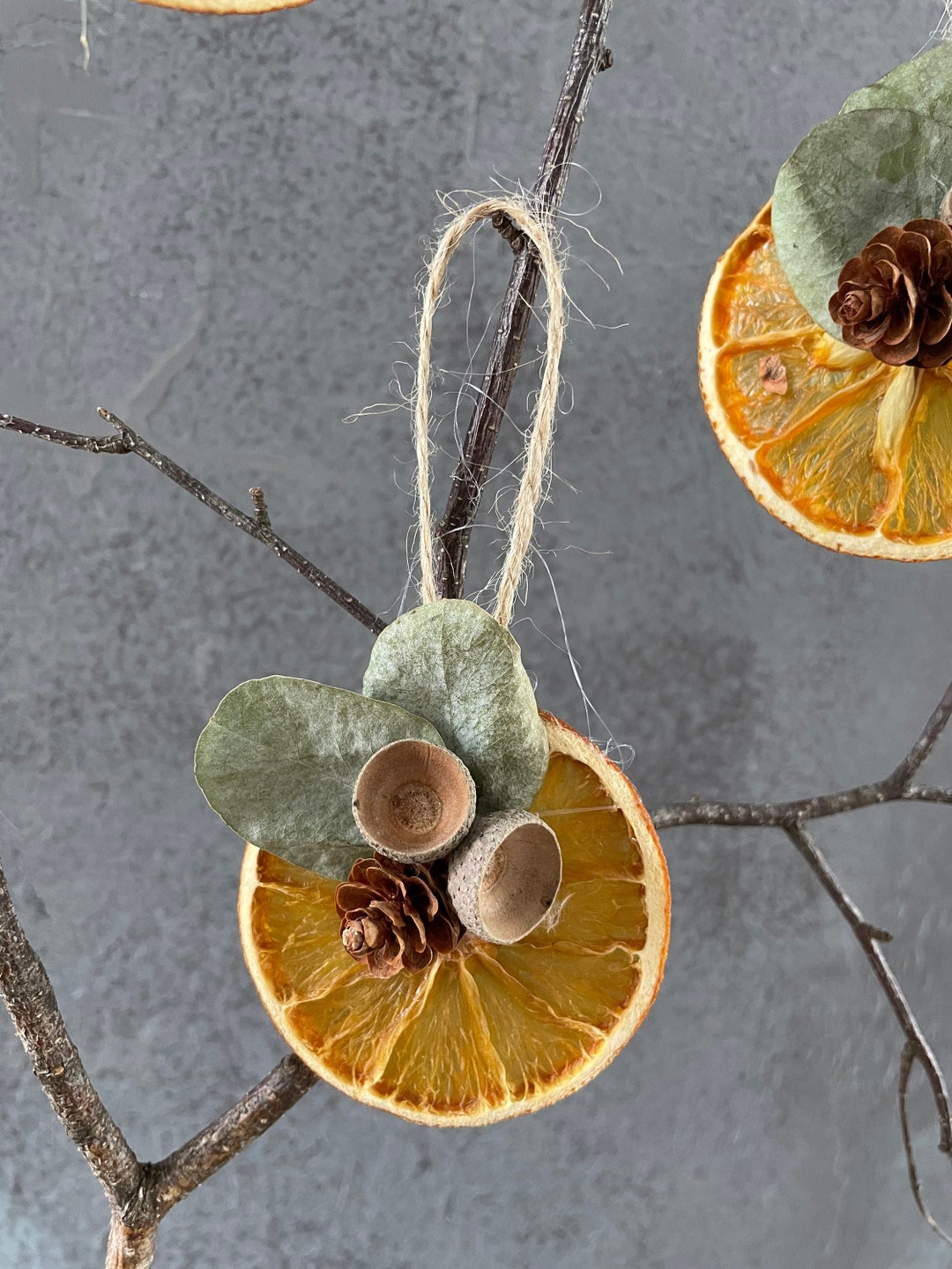 Set of 6 Dried Orange Ornaments | Christmas Tree Ornament | Dried ...