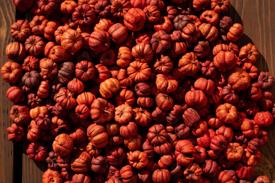 Baby Pumpkin Spice, Natural Mini Pumpkins, Organic Putka Pods, Bowl ...