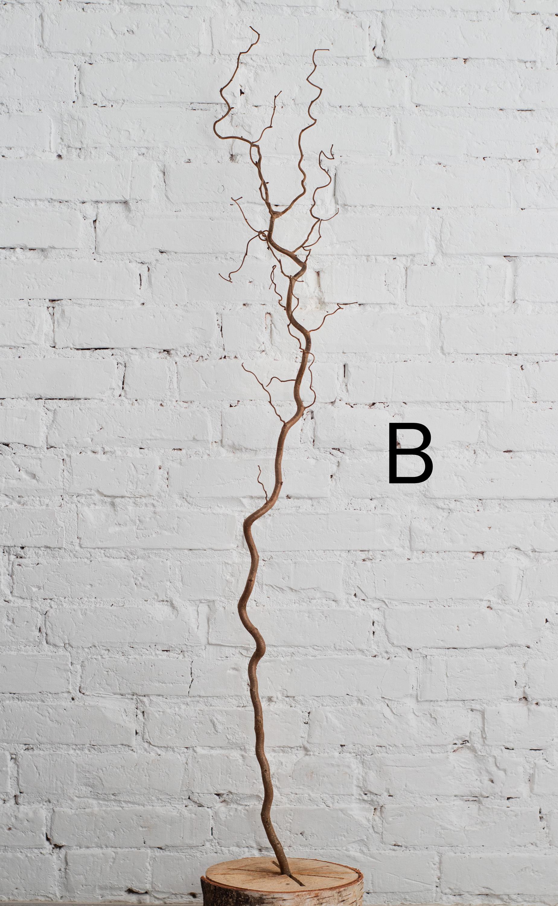 Natural Twisted Hazel Branches | 35" Wood Branches | Naturally Curly ...