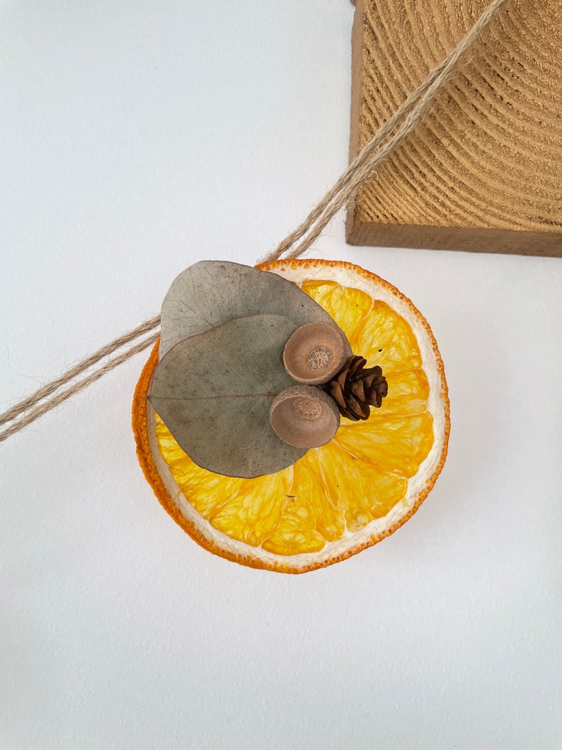 Set of 6 Dried Orange Ornaments | Christmas Tree Ornament | Dried ...