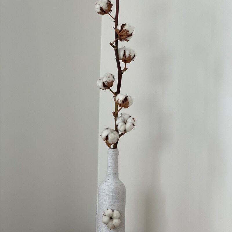 Cotton Branch - Etsy