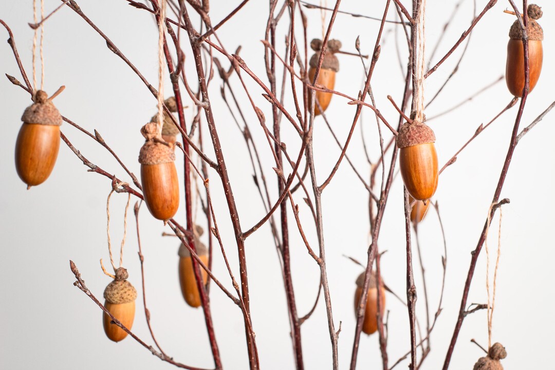 Hanging Natural Acorns With Caps, Acorn Ornaments, Rustic Home Decor ...