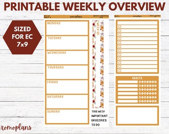 Weekly Overview Stickers - Etsy