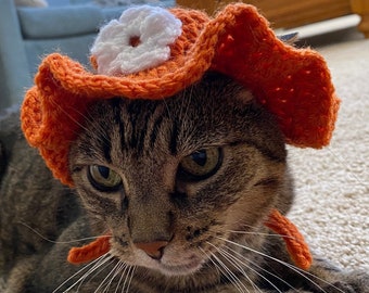 Hat for a Cat | Etsy