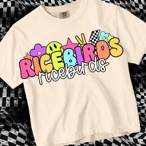 Retro Pop Colorful Preppy Sticker Mascot-ricebirds PNG - School Spirit ...