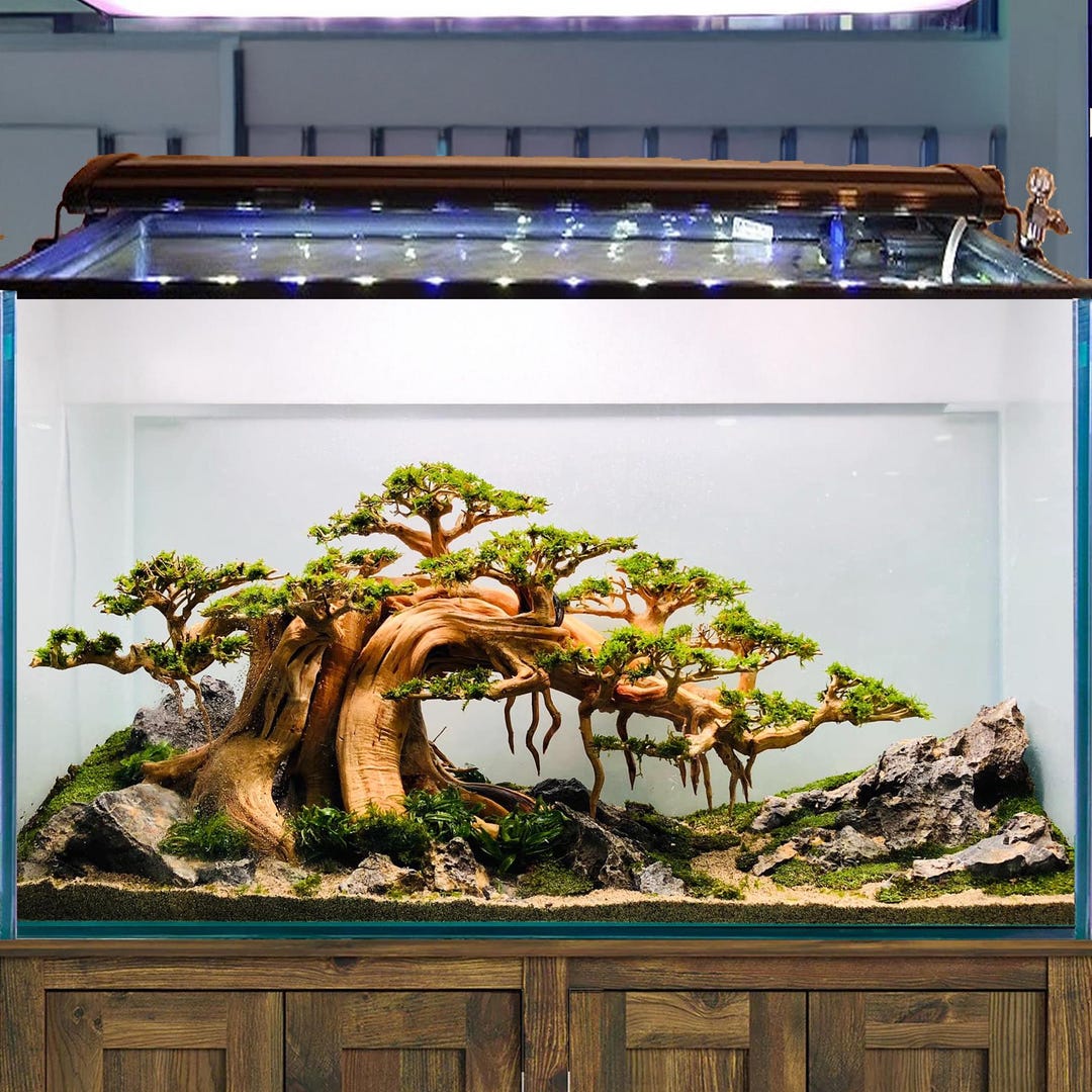 Aquascape Bonsai Aquarium Hardscape Tree Stump Driftwood Fish Tank ...