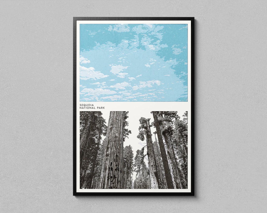 Sequoia Poster - National Park Poster - Iconic Landscapes - Sequoia Art ...