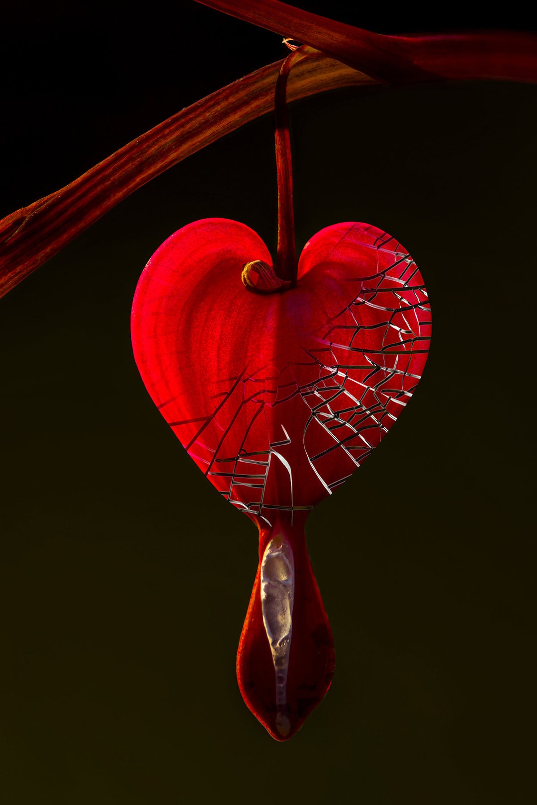 A Healing, Broken, and Bleeding Heart - Etsy