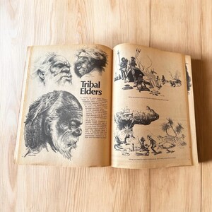 Vintage Comic the Best of Witchetty's Tribe Cartoon Book by Eric ...
