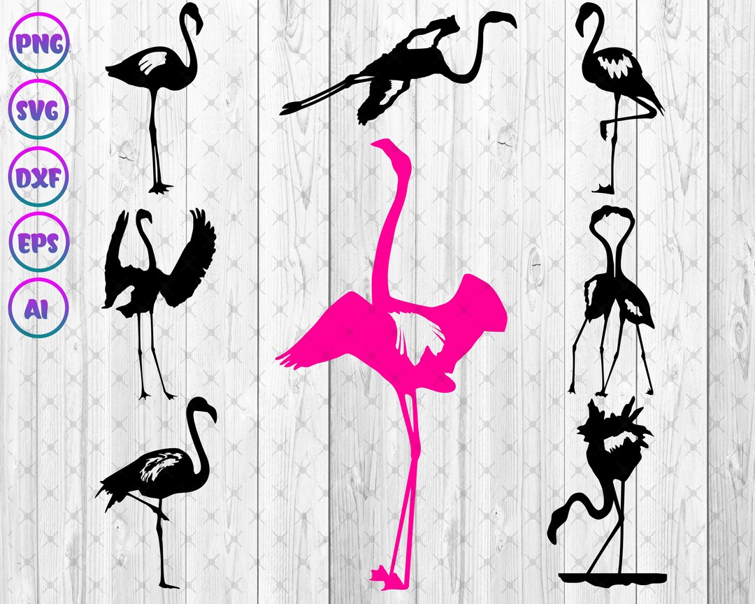 Flamingo SVG Bundle 8 , Flamingo Clip Art, Pink Flamingo Vector, Pink ...