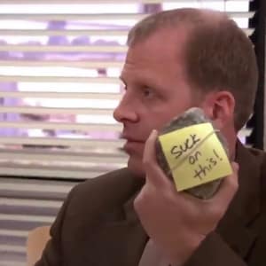 Goodbye Toby’s “suck on This” Rock Gift Wrapped — the Office Gag Gift ...