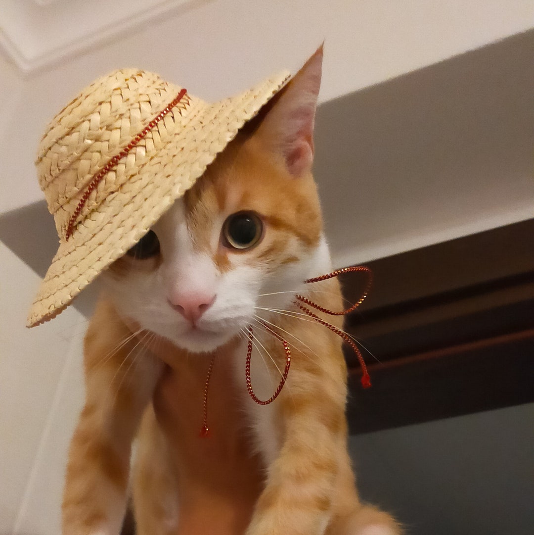 Straw Hat for Cats Holiday Cat Christmas Straw Pet Hat for Cats - Etsy
