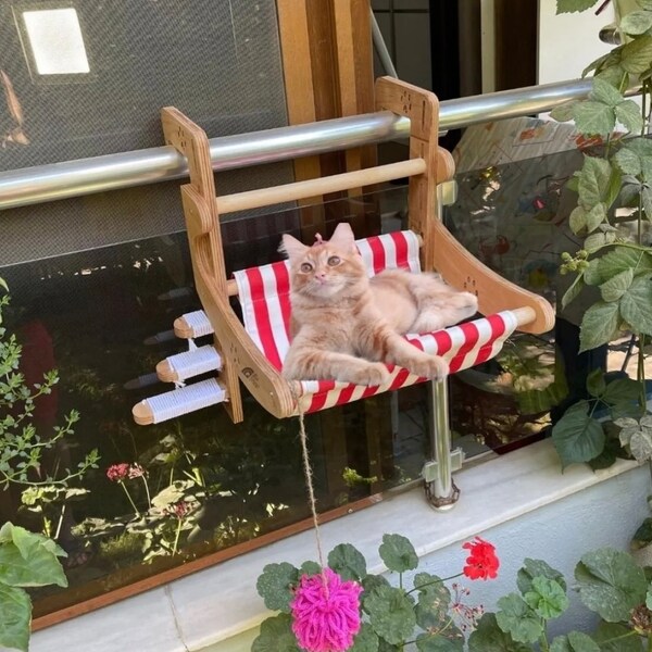 Cat Radiator Bed - Etsy