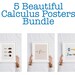 5 Beautiful Calculus Posters Bundle for Your Classroom, Printable Math ...