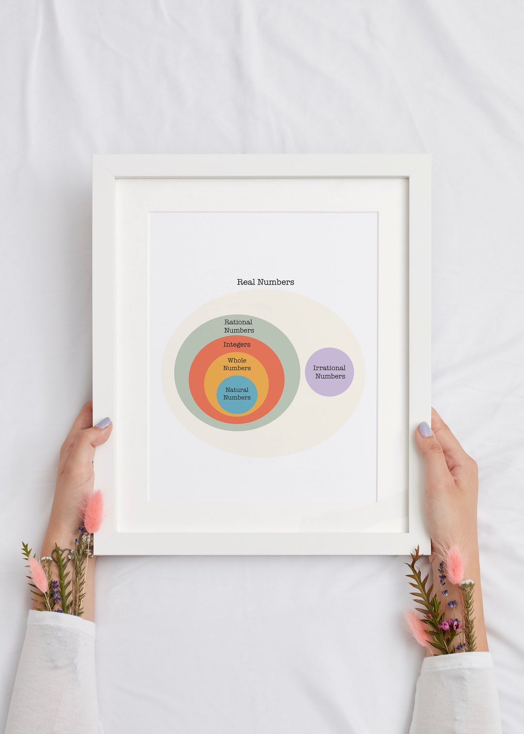 Set of Numbers Venn Diagram Colorful Printable Math Poster, Fun Math ...