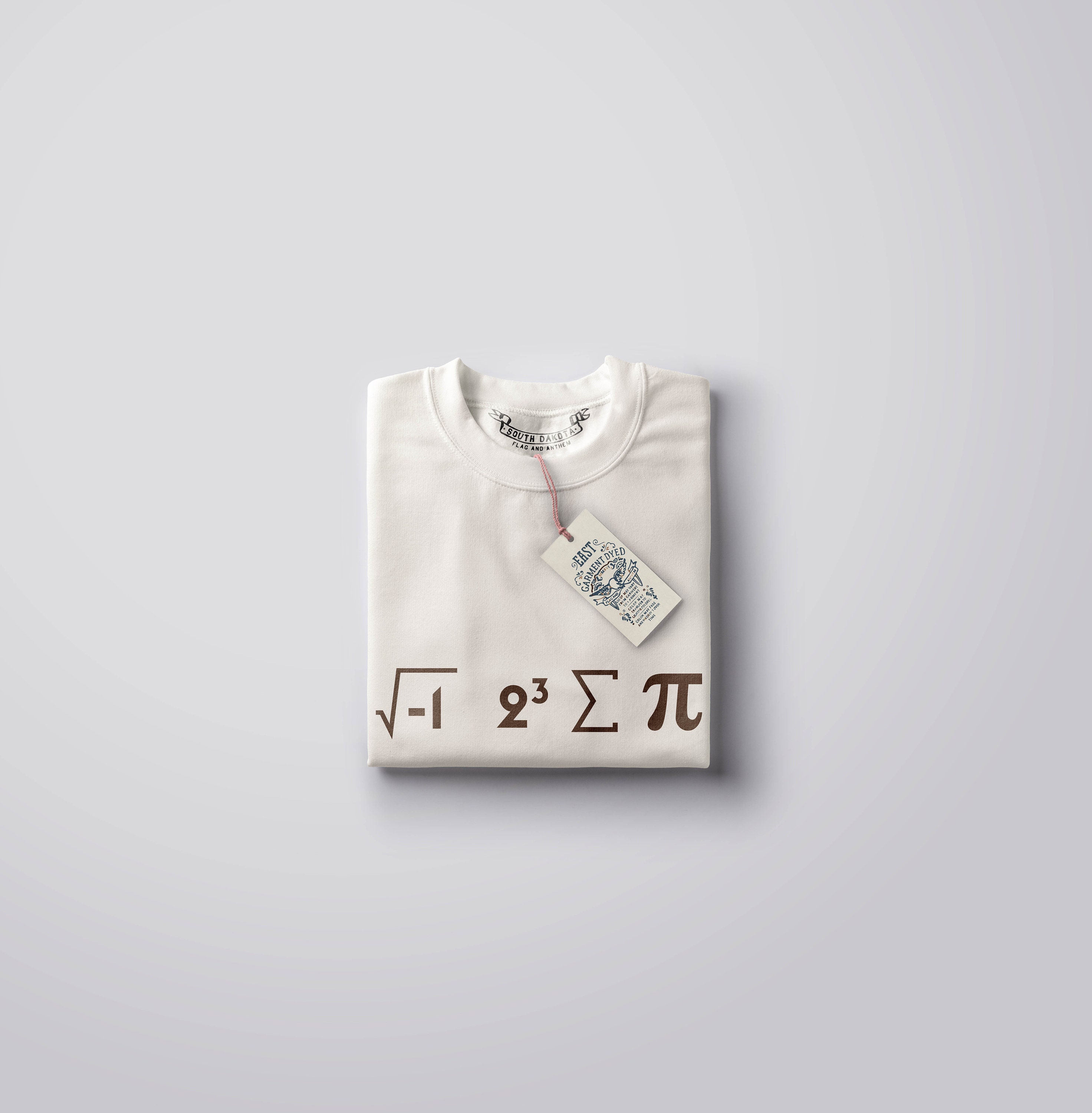 Printable Fun Math Poster, Fun Math Classroom Decor for High School and ...