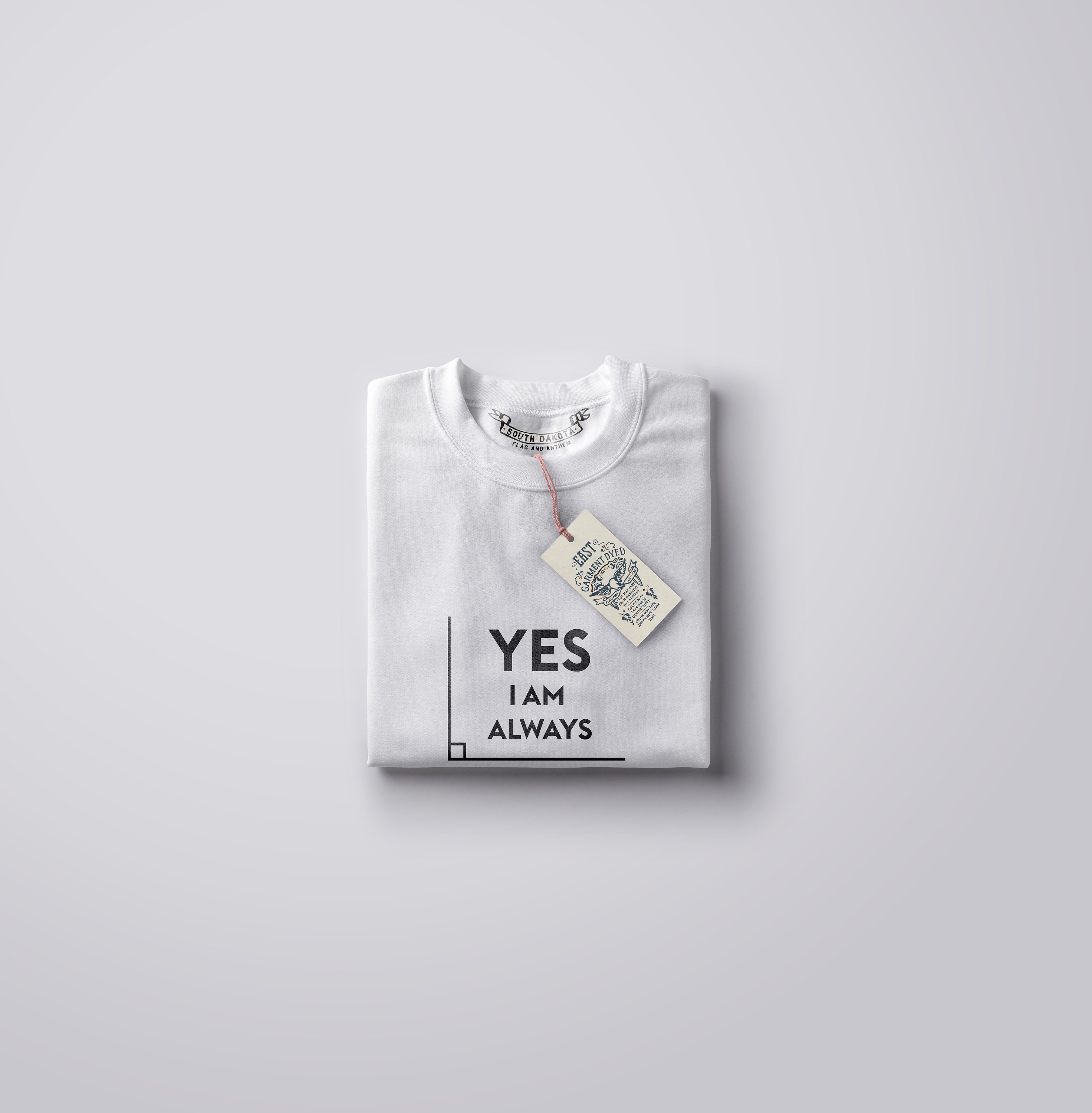 Yes I Am Always Right Printable Math Wall Art Poster Math | Etsy