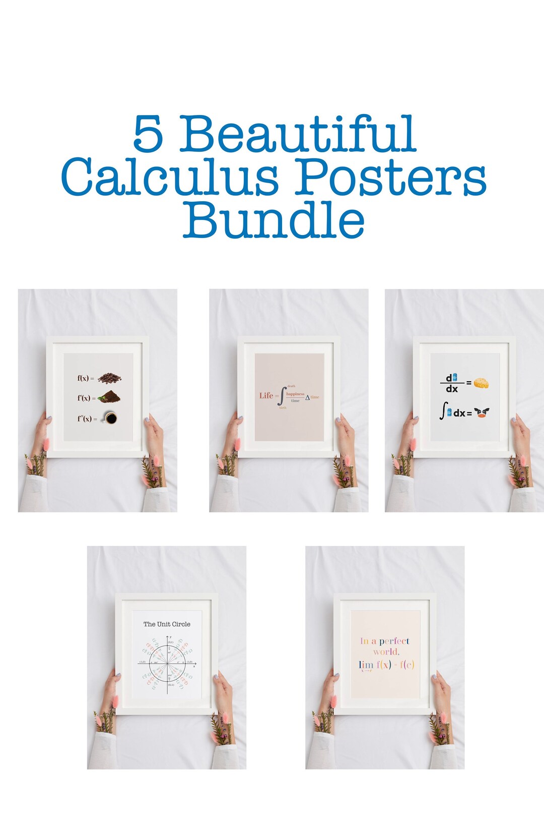 5 Beautiful Calculus Posters Bundle for Your Classroom, Printable Math ...