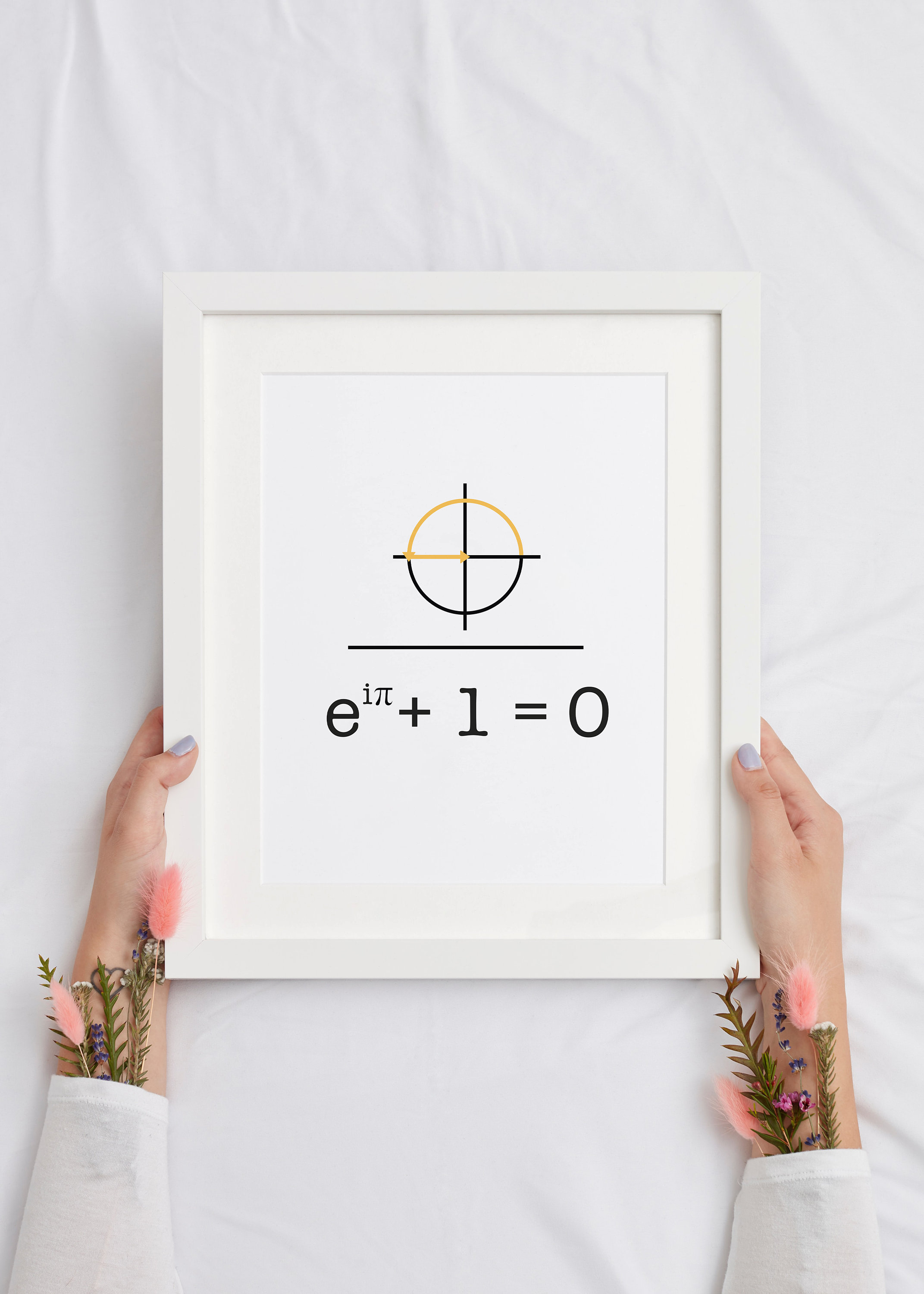 Euler's Identity, the Most Beautiful Equation in Math Fun Math Poster ...