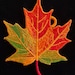 Sugar Maple Leaf Ornament FSL Machine Embroidery Design (4x4) Instant ...