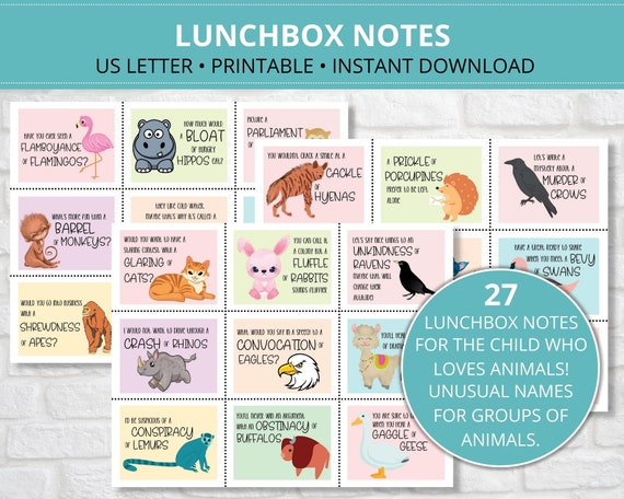 Lunchbox Notes for Kids Printable Groups of Animals Lunchbox - Etsy