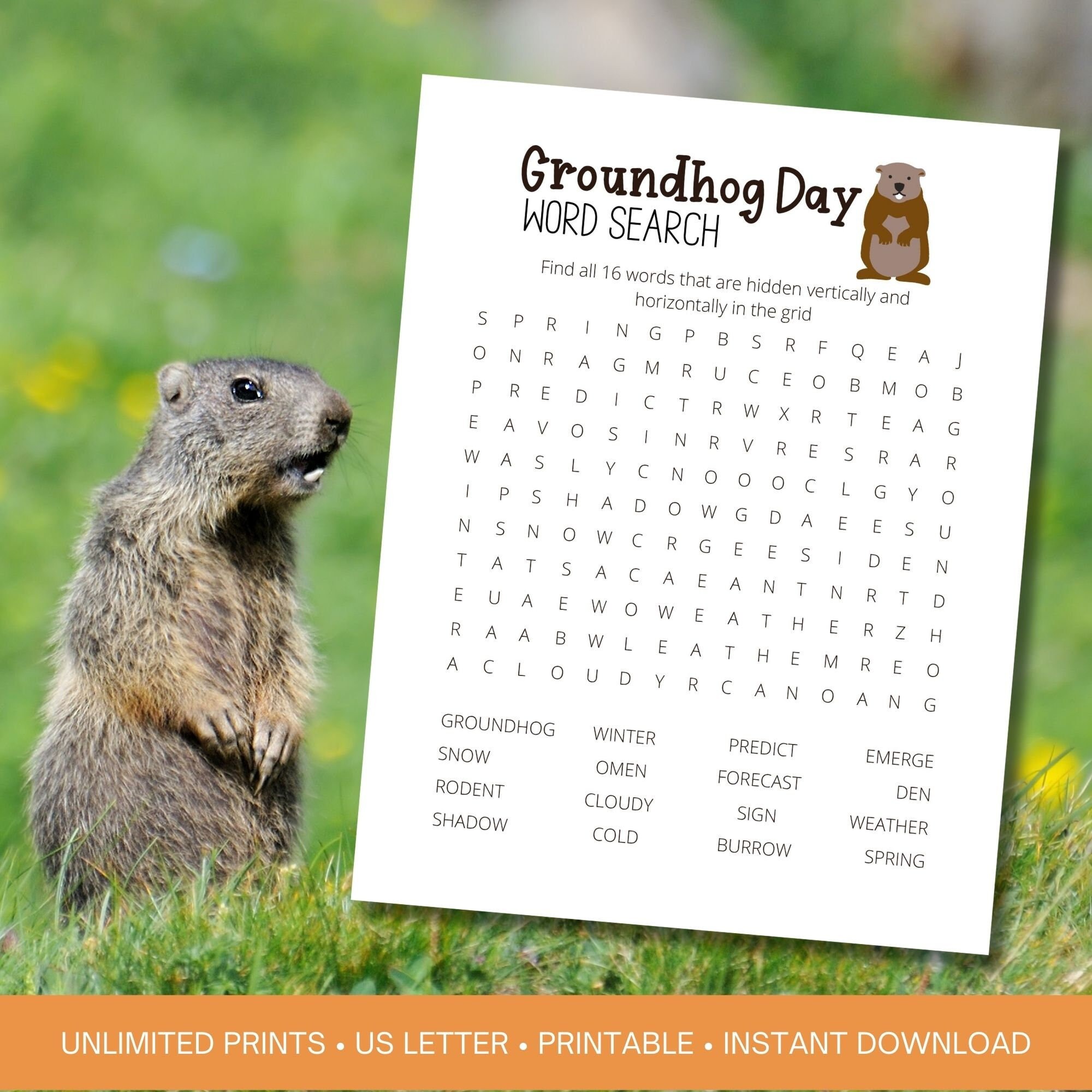 Groundhog Day Word Search, Classroom Activity (printable PDF) - Etsy