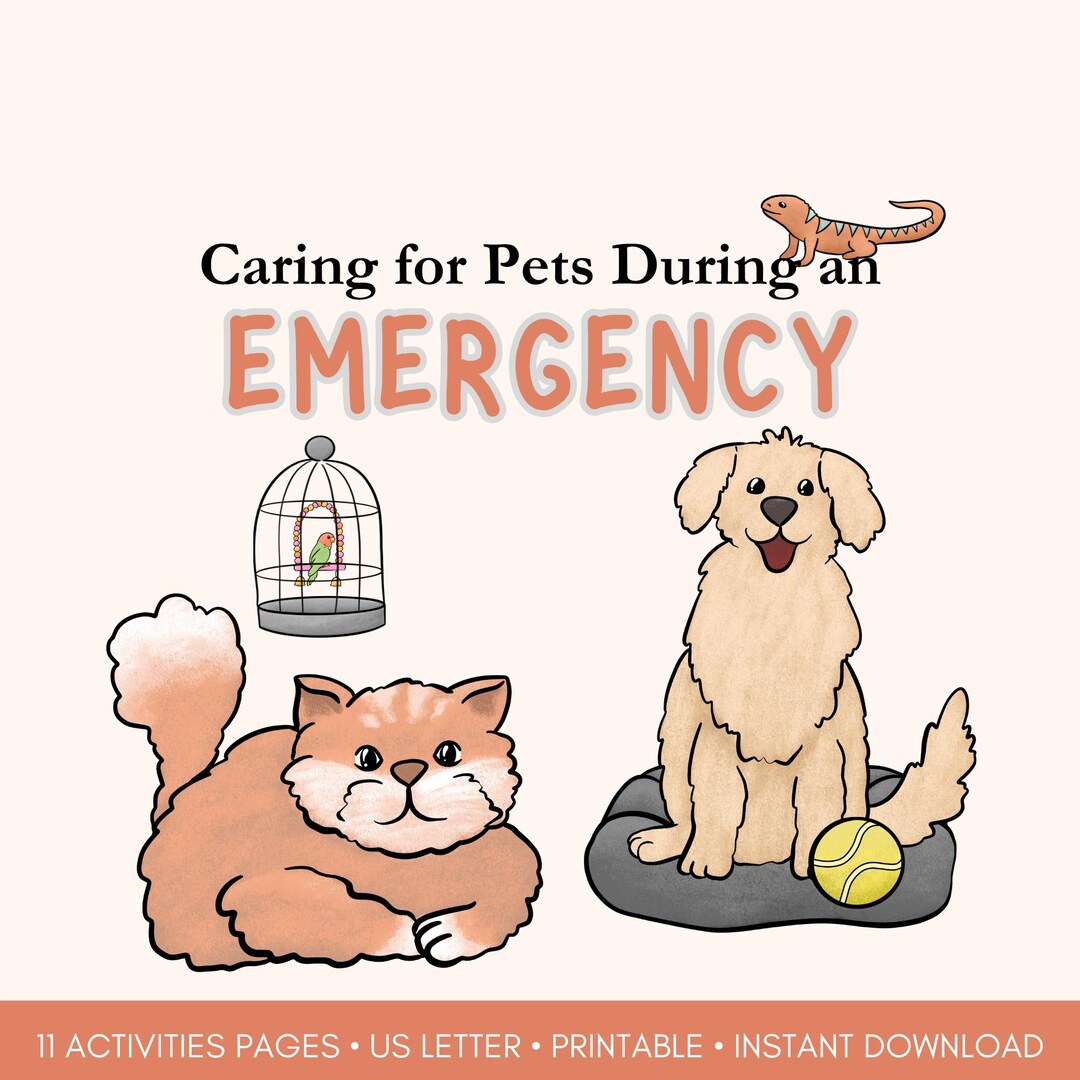 Kids Pet Emergency Preparedness Kit, Printable Checklist (digital ...