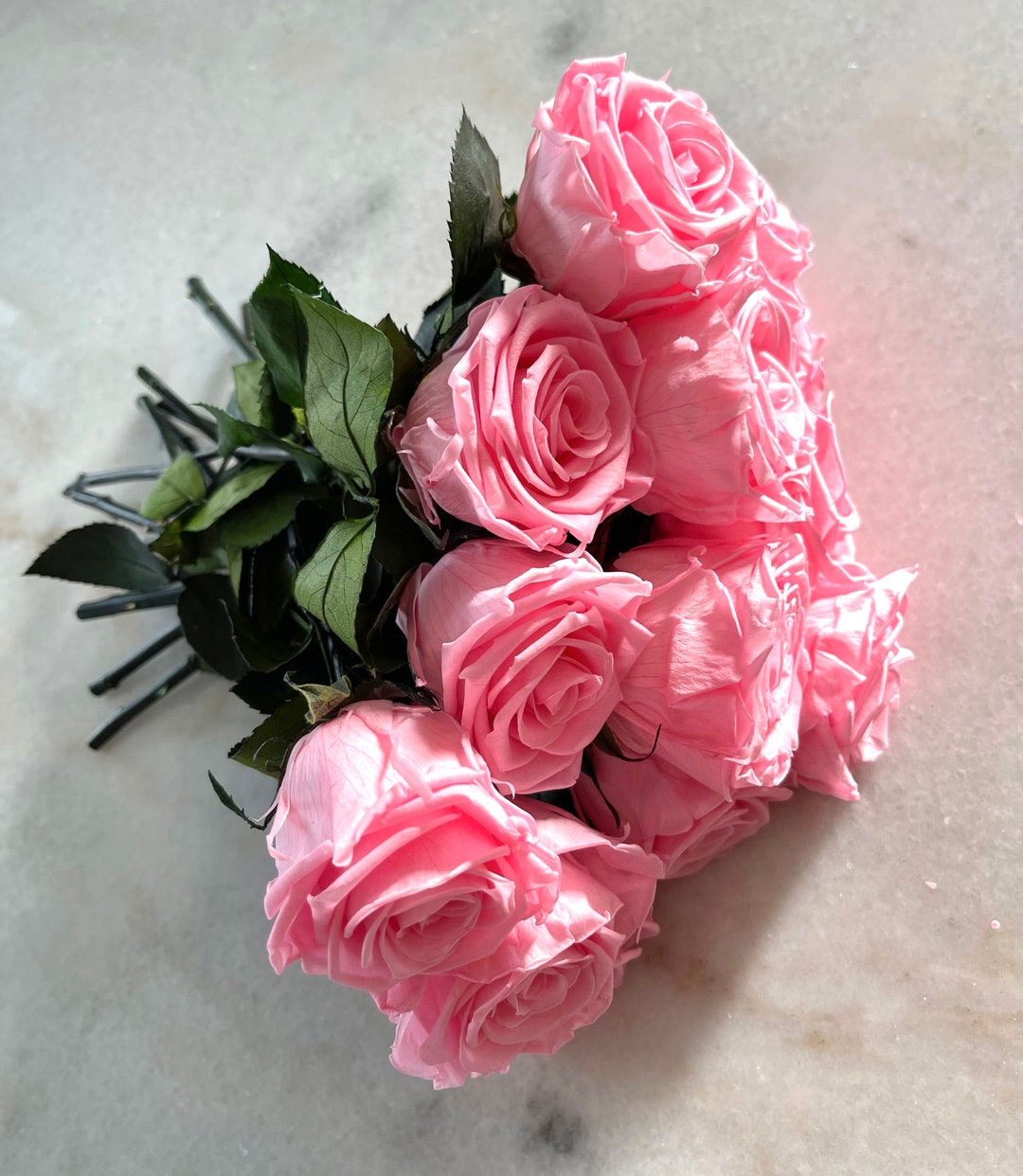 Real Pink Preserved Long-stem Rose One Year Roses That Last A Year ...