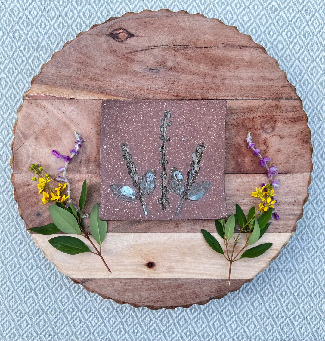 Ceramic Butterfly Puddler Puddle Bath Feeder Dish Bowl Clay - Etsy