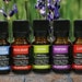 100% Pure Essential Oil Blends 10ml - Therapeutic Grade for ...