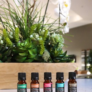 100% Pure Essential Oil Blends 10ml - Therapeutic Grade for ...