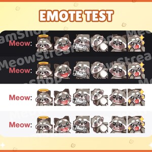 Twitch Emote / Lindo mapache emotes pack 3 reza, alto, pistola, por qué ...