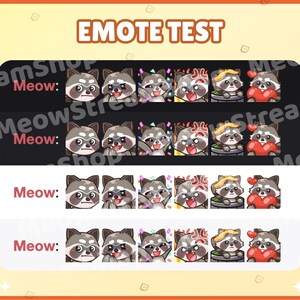 Twitch Emote / Cute Raccoon Emotes Pack #1 (awkward, Evil, Hype, Angry ...